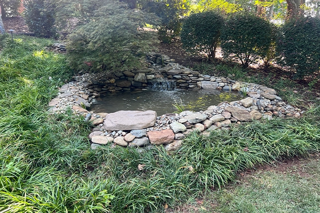 Stream Landscaping Ideas